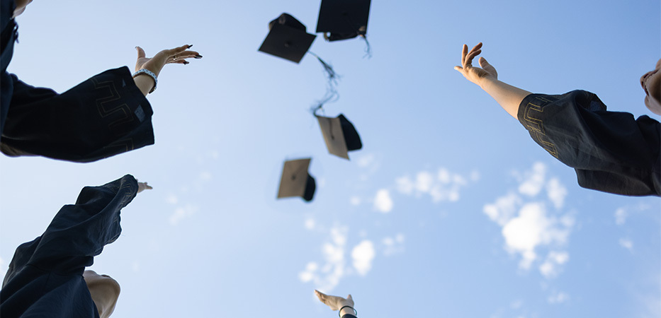 Sich vom «Abschluss- und Diplomdenken» verabschieden - ARISCO Risk ...